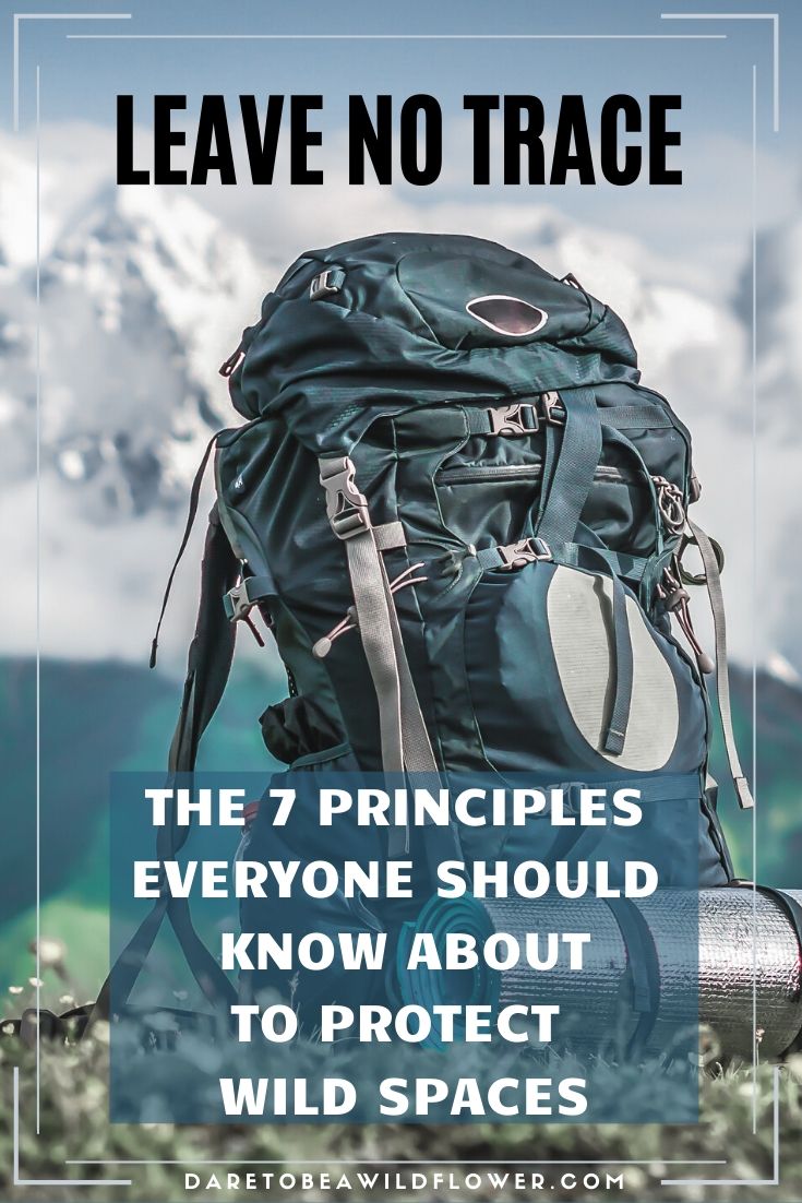 What are the Leave No Trace 7 Principles? - Dare To Be A Wildflower