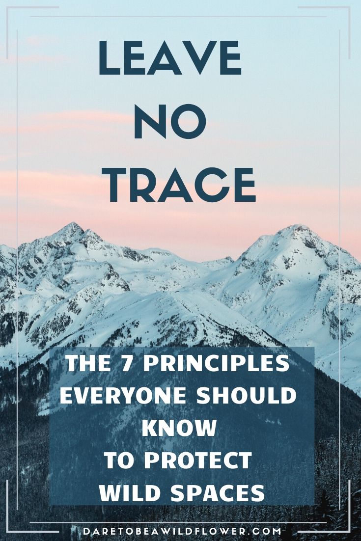 What are the Leave No Trace 7 Principles? - Dare To Be A Wildflower